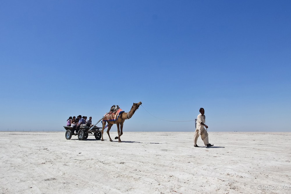 Kutch Attraction :: Welcome To Great Rann Resort